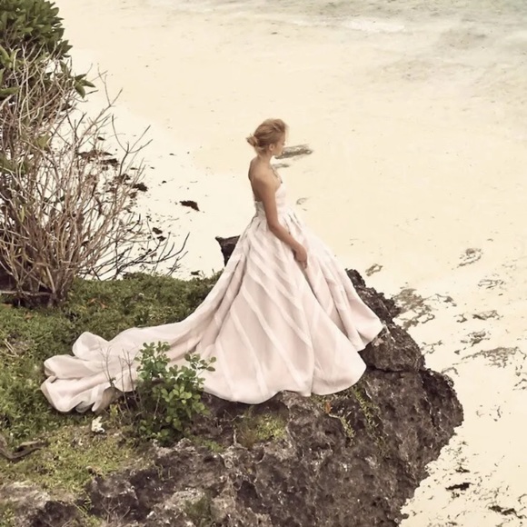 BHLDN | Dresses | Nwt Bhldn Wedding Carlton Ball Gown Size 6 | Poshmark